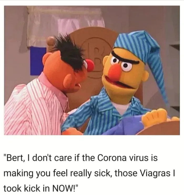Not even Covid can save Bert now - 9GAG