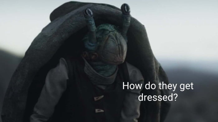 Like seriously? The shell is part of them. - 9GAG