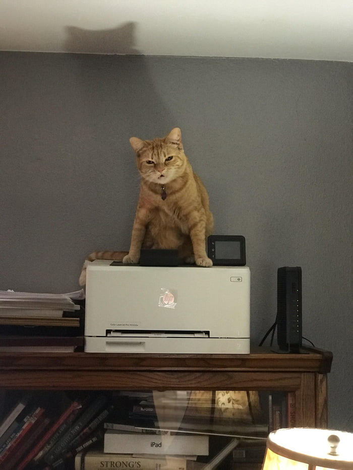 Phyllis the Protector of the Printer - 9GAG