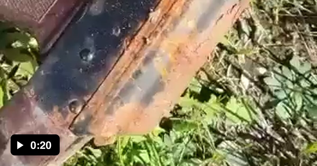 Russian conscripts were given old, rusty weapons. IO wonder if they ...