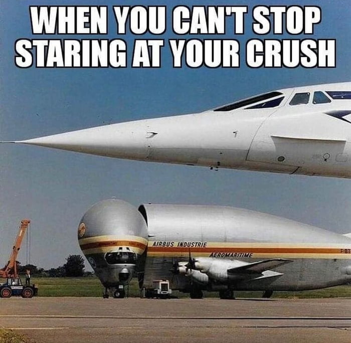 Dammn...so pointy! - 9GAG