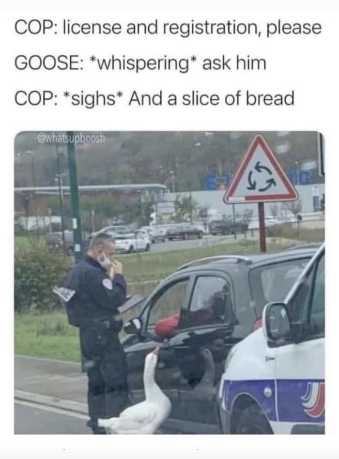 Getting pulled over in Canada... - 9GAG