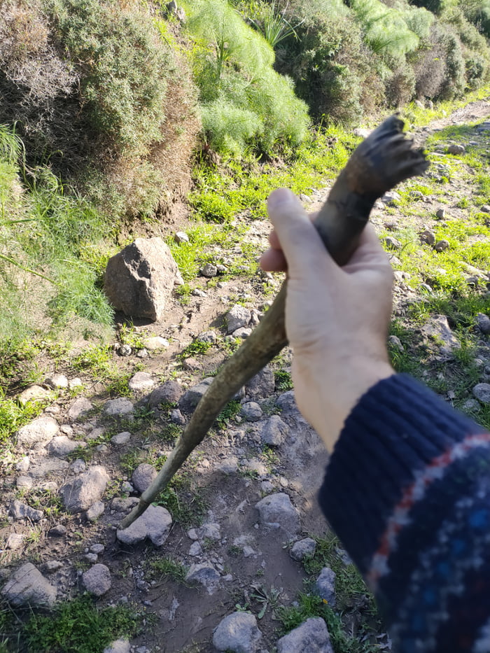 Rate my stick - 9GAG