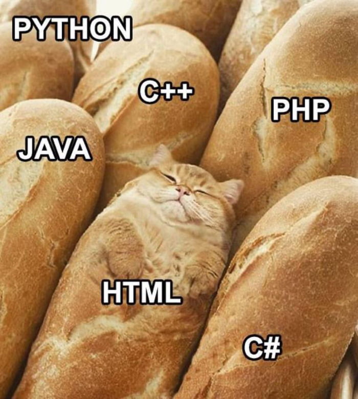 HtmlisAprogrammingLanguageDawg - 9GAG