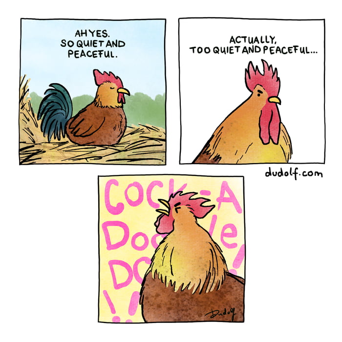Cock 9gag