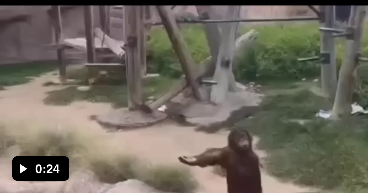 Join me, together we will conquer this realm and rule forever - 9GAG