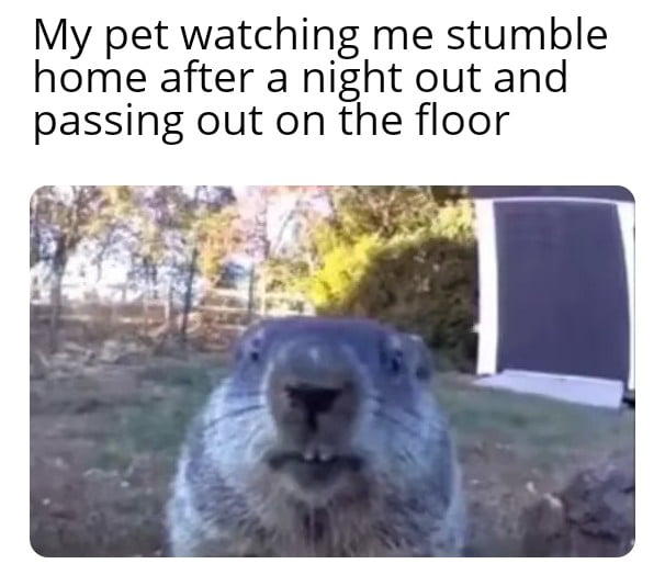 *Insert captivating title here* - 9GAG