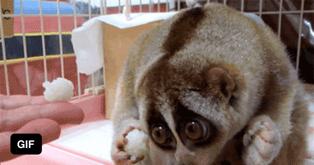 I have two hands and three foods.. - 9GAG