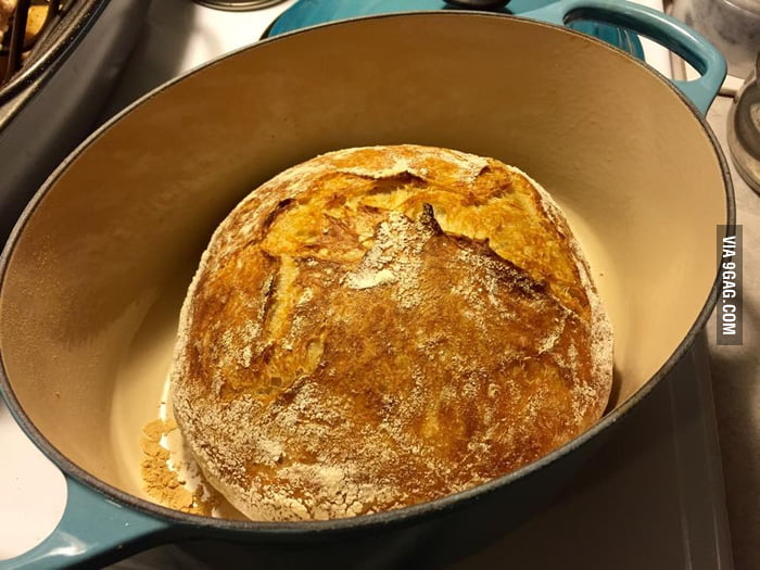 My first dutch oven no-knead bread. - 9GAG