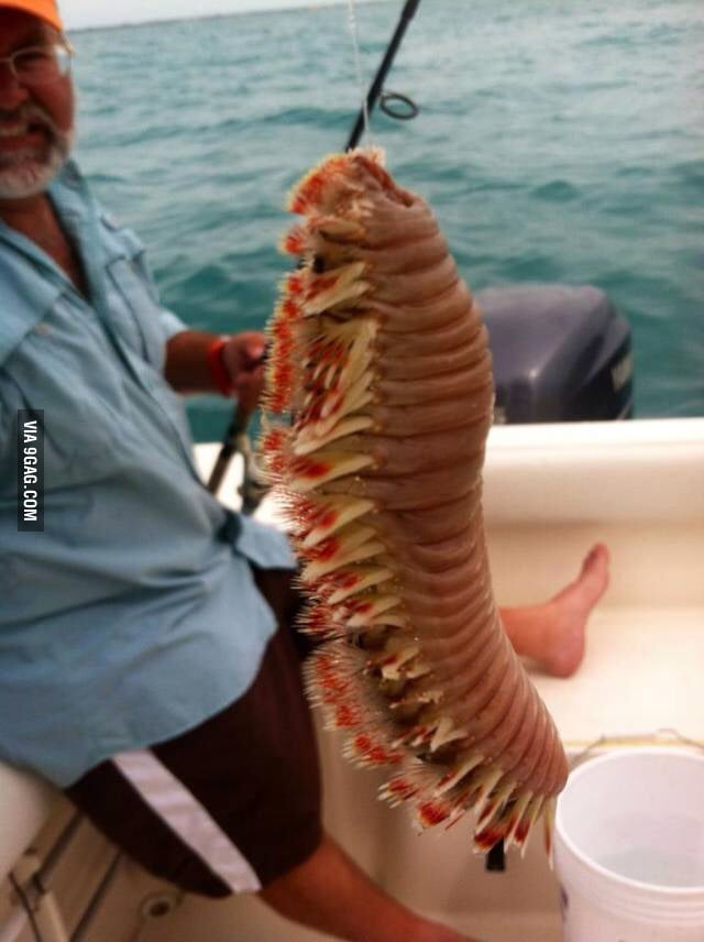So it looks like someone went fishing in the river Styx. - 9GAG