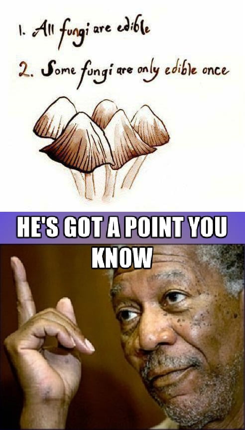 Makes sense... - 9GAG