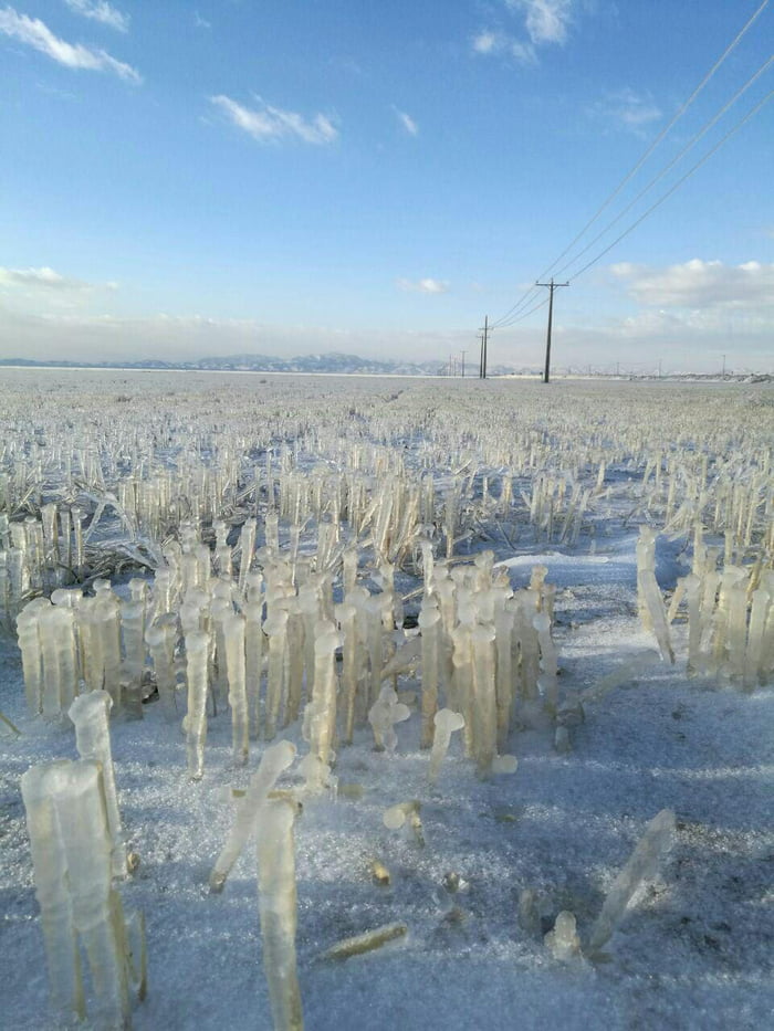 A rare phenomenon: One of deserts of Iran after a rainy and very cold ...