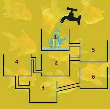 Which bucket will be filled first? - 9GAG