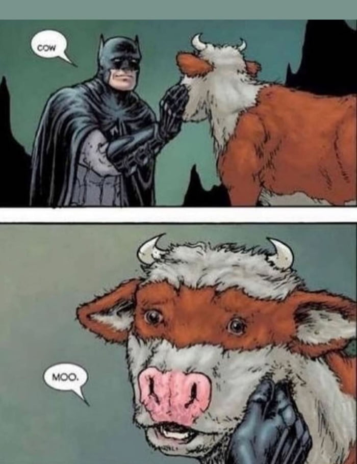 Cow - 9GAG