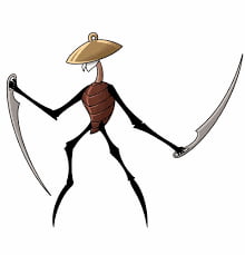 Stick bug challenges you to a fight - 9GAG