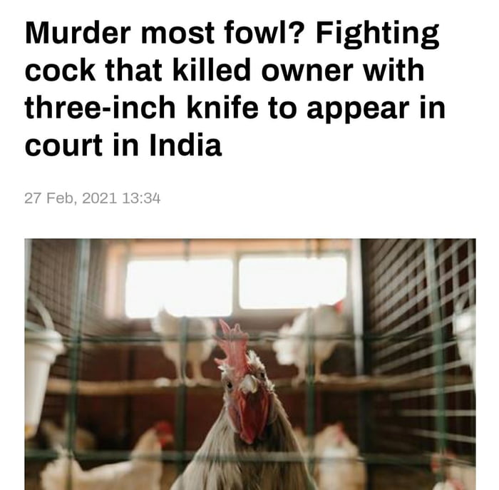 U want sum...fuk? - 9GAG