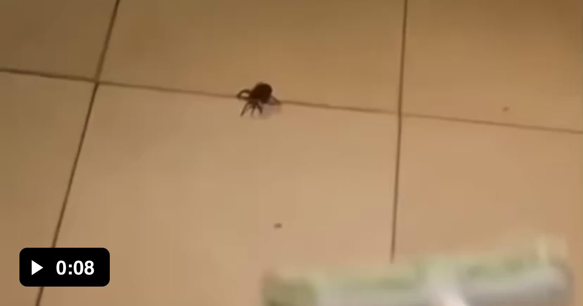 My body's itchy now - 9GAG