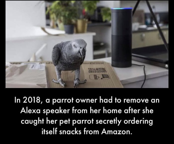 They are really evolving!! - 9GAG