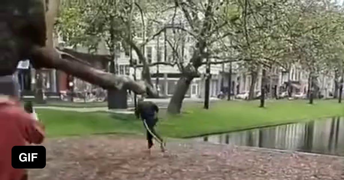 Best kickflip (fixed) - 9GAG