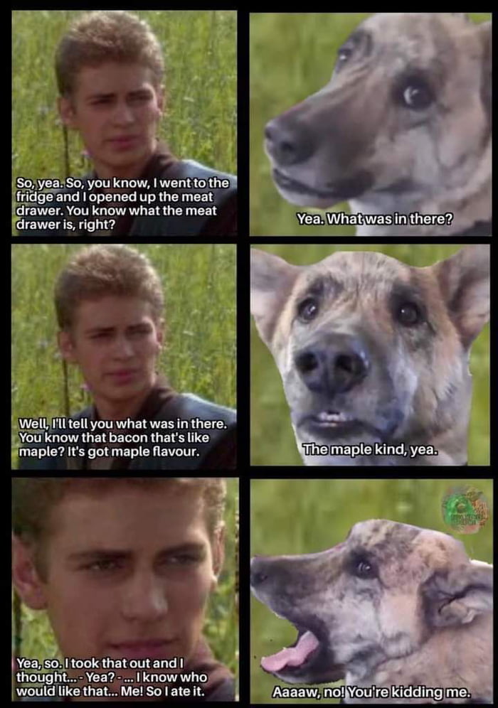 The maple kind!! - 9GAG