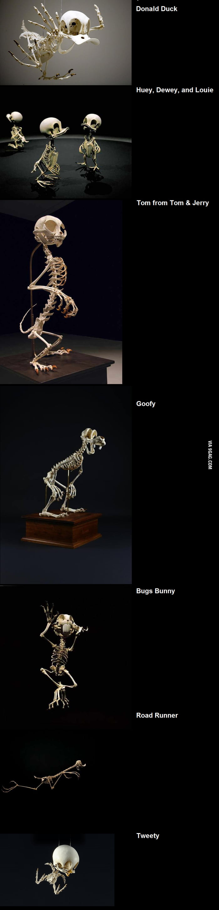 Some Animation Characters Skeletons - 9GAG