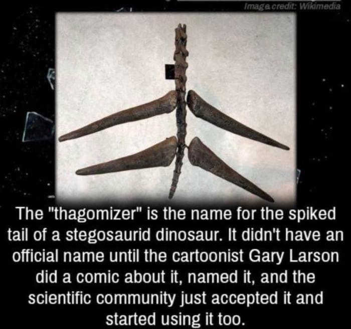 Thagomizer - 9GAG