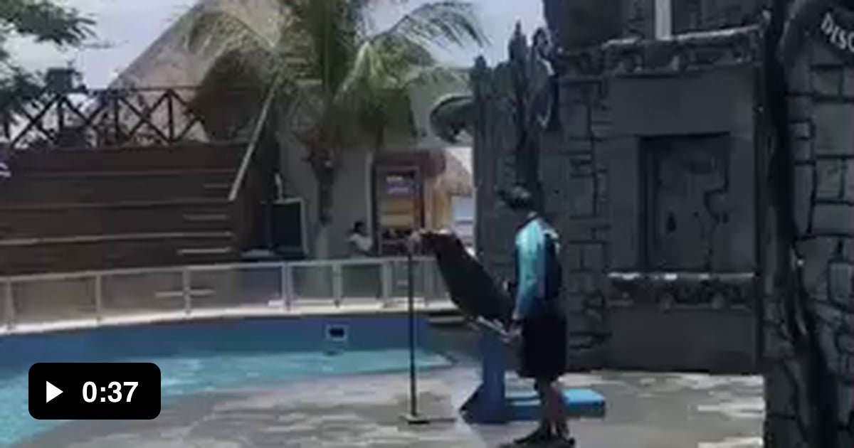 This is not fake - 9GAG