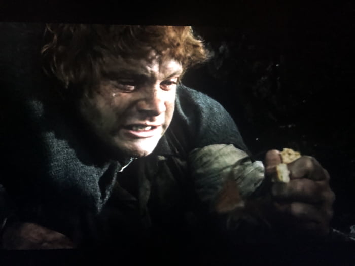 Everybody talking about frodo wasting water. I wanna know why sam ...