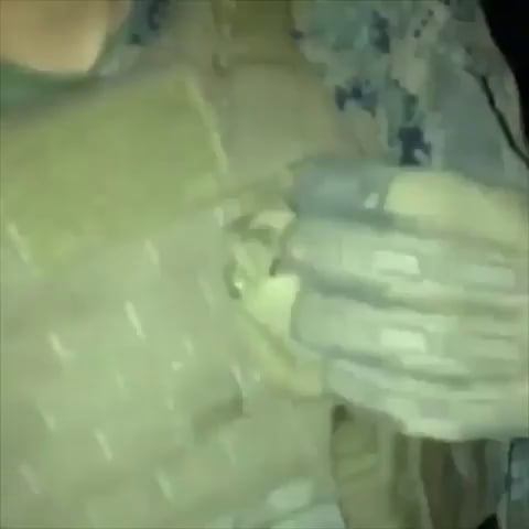 Happy Tactical Toad Tuesday - 9GAG