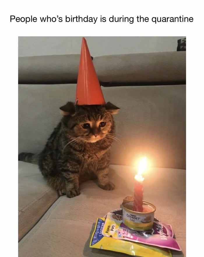 I know it's lame to ask, but today is my birthday and a couple of ...