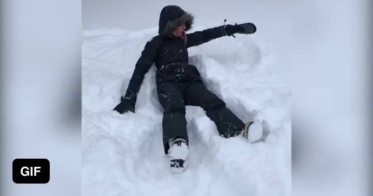 Dog making a snow angel - 9GAG