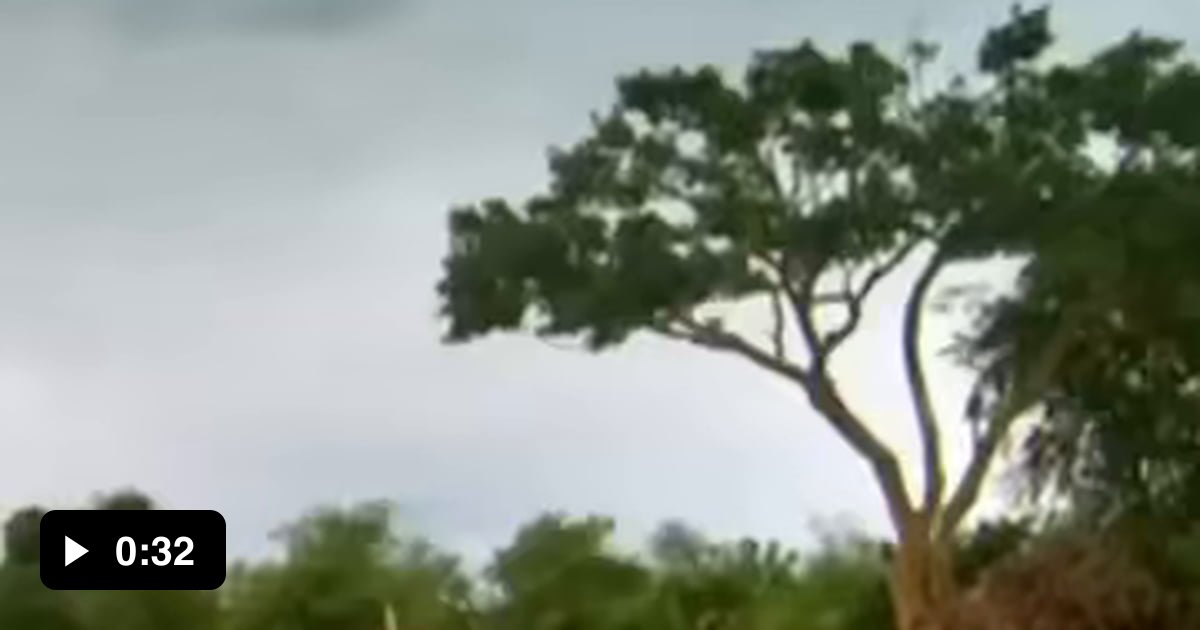 Top Gear/TGT: Tourist - 9GAG