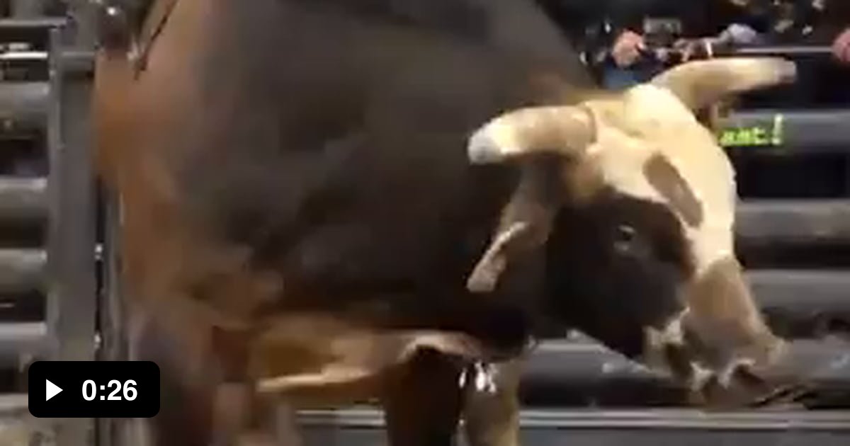 Bull riding goes wrong - 9GAG