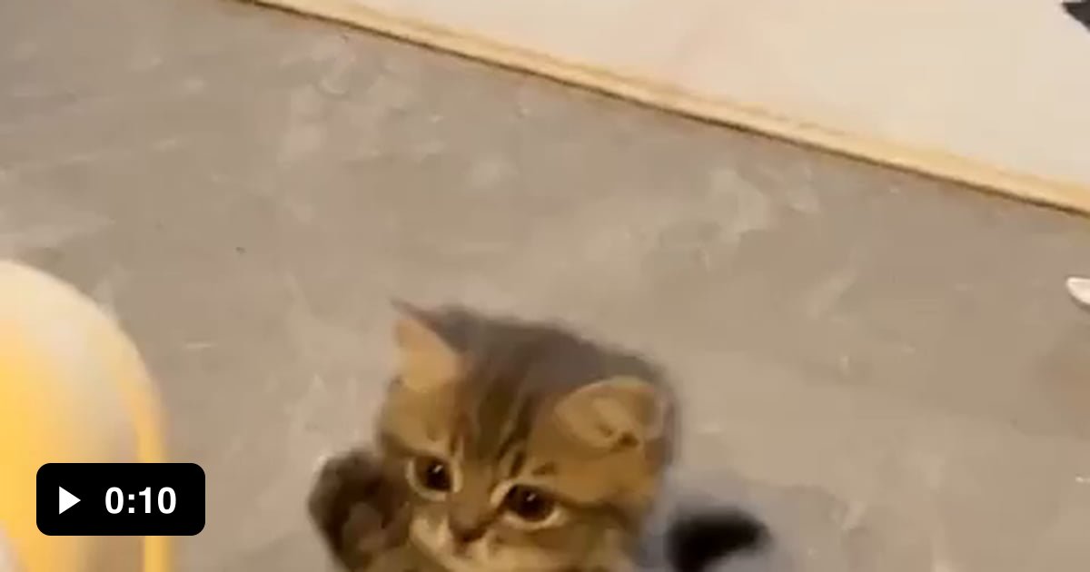 Stop confusing me - 9GAG