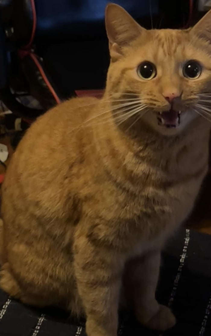 Was getting fussed at here - 9GAG