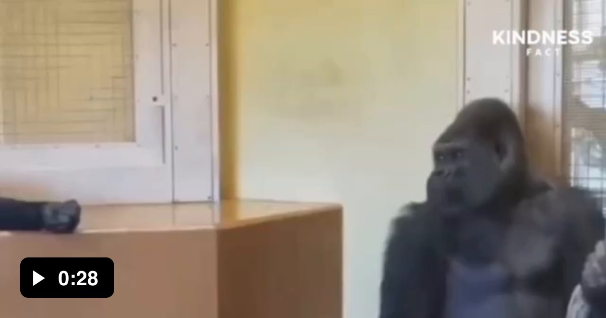 Romantic love - 9GAG