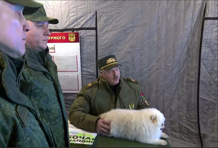 That's some supervillain type of photo. Will the dog get the colonel ...
