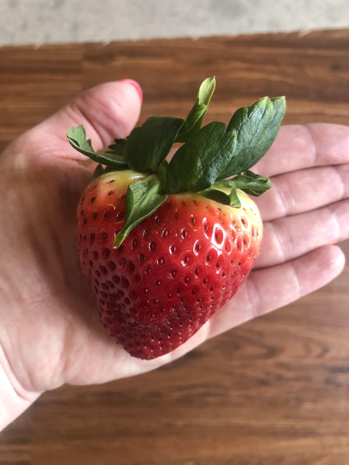 Of a Strawberry - 9GAG