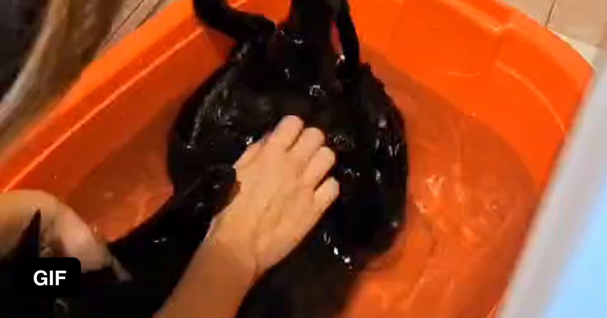 It's time to clean the void - 9GAG