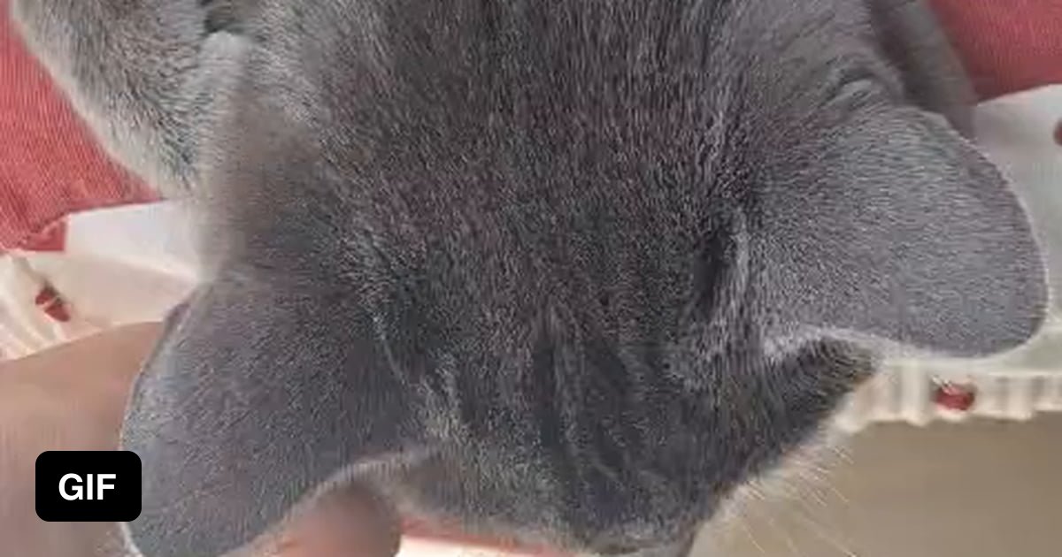 I think it's broken - 9GAG