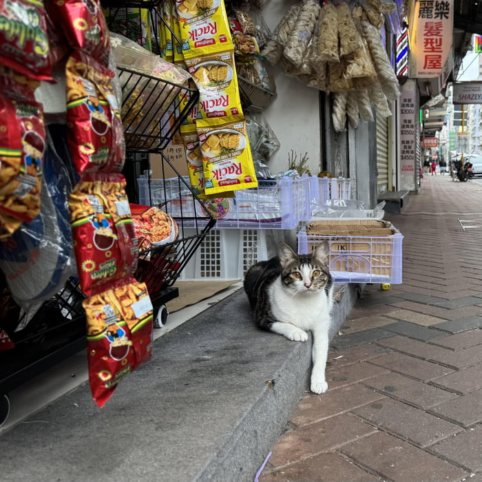 Corner store shopkeeper says: If you can take anything for a dollar ...