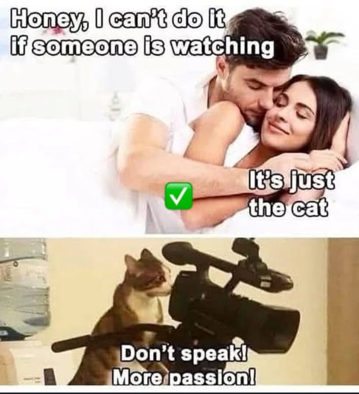 Crop me like one of your French cats Jack - 9GAG