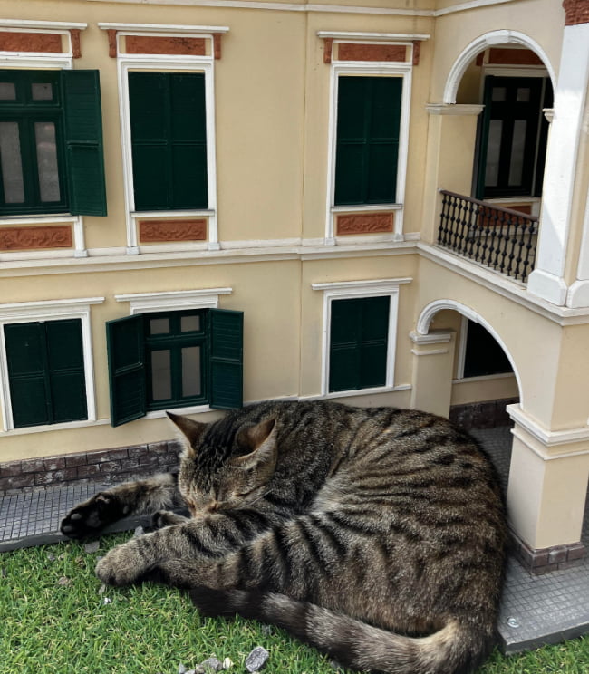 After ruling the city, Catzilla is taking a well-deserved break - 9GAG