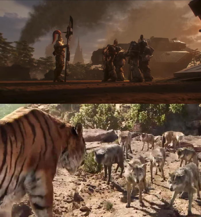 Same energy. Same natural pecking order. - 9GAG