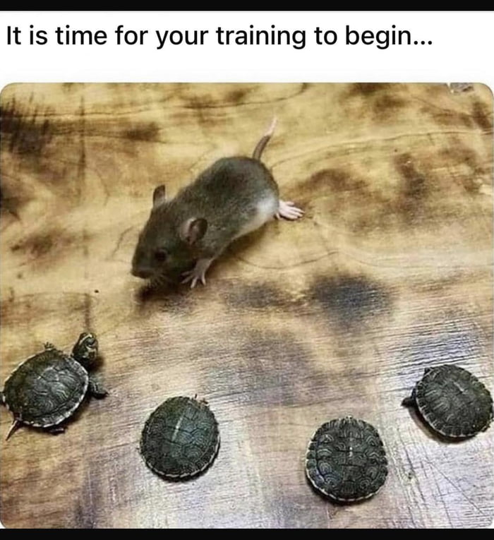 Training arc begins - 9GAG