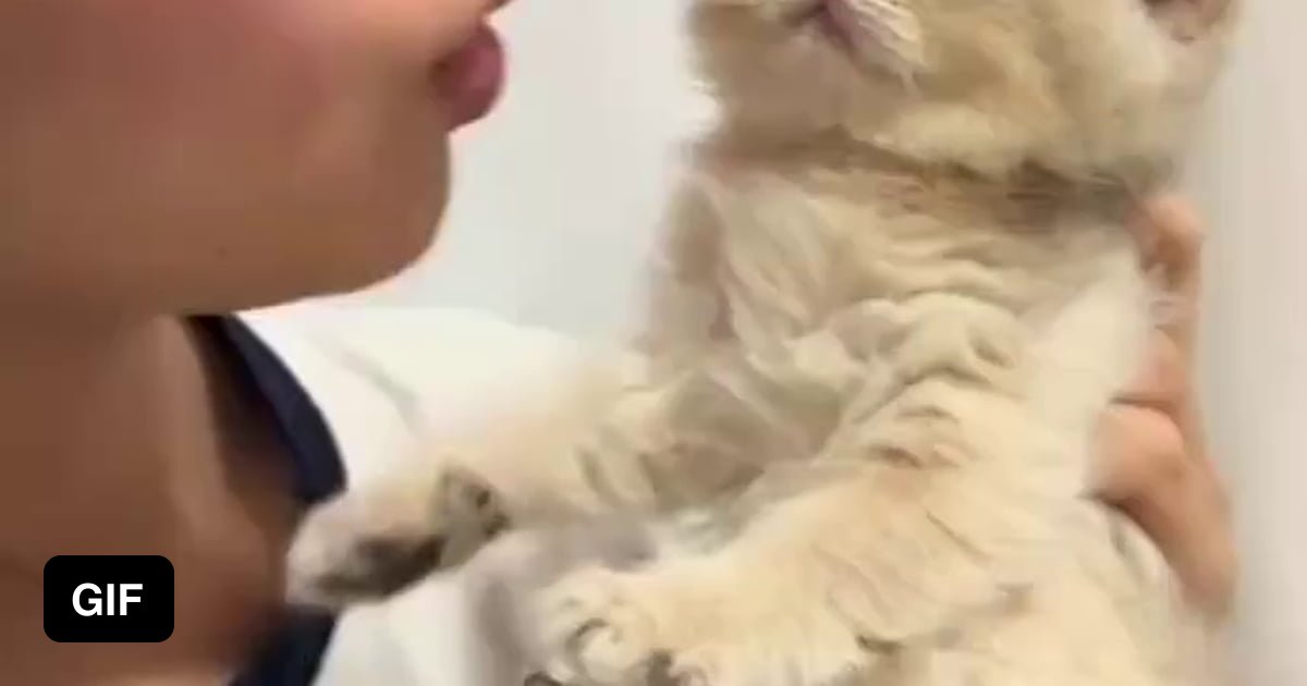 Please do not the cat. - 9GAG