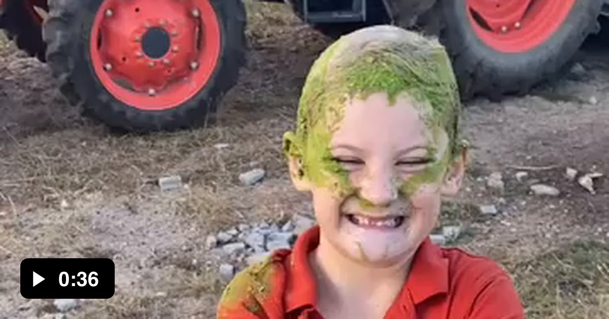 A boy catches frogs on the farm - 9GAG