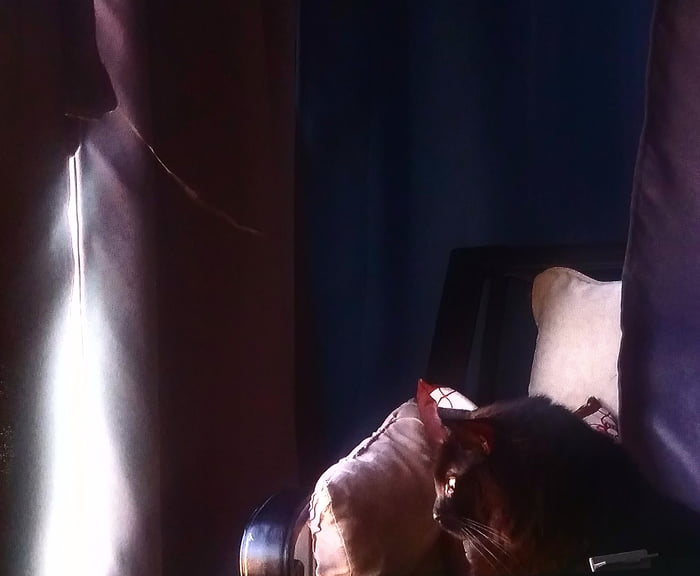 My boy (Maxamillion Kountz) Just pondering - 9GAG