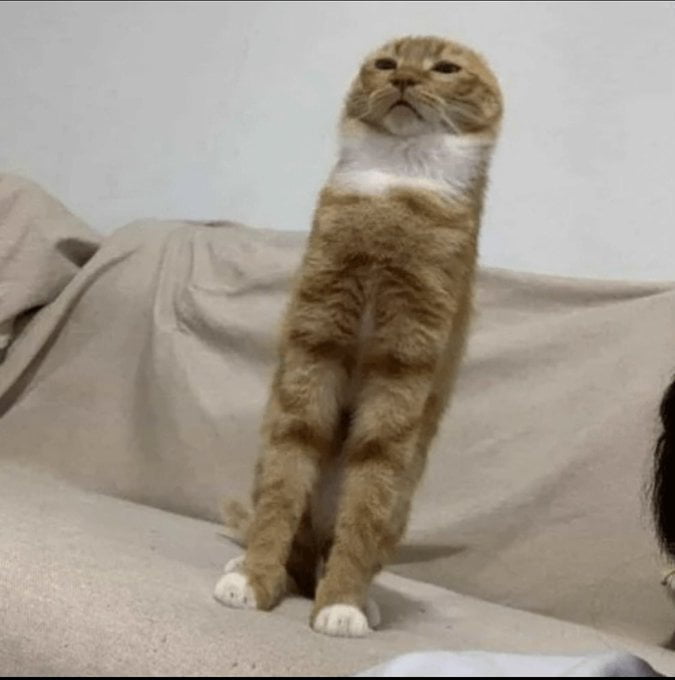 This is john... say hi to john - 9GAG