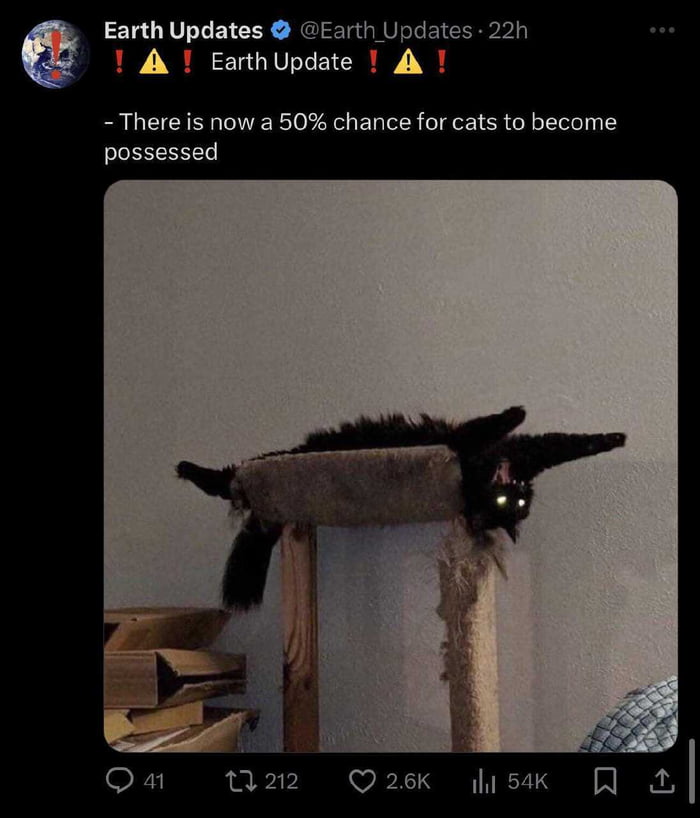 My cat is 99.99%. - 9GAG